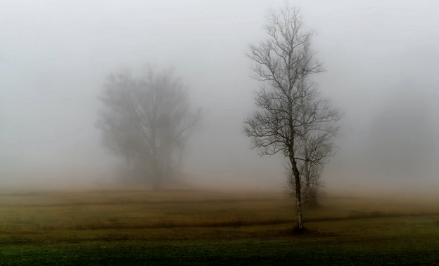 Apollo Mapping - The Image Hunters